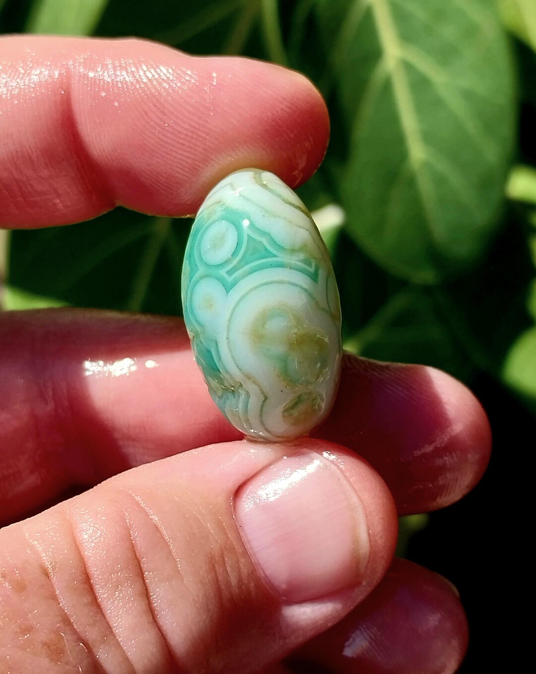 Pretty Green Gobi Eye Agate Palmstone! Gobi Eye Agate Stone. Colorful ...
