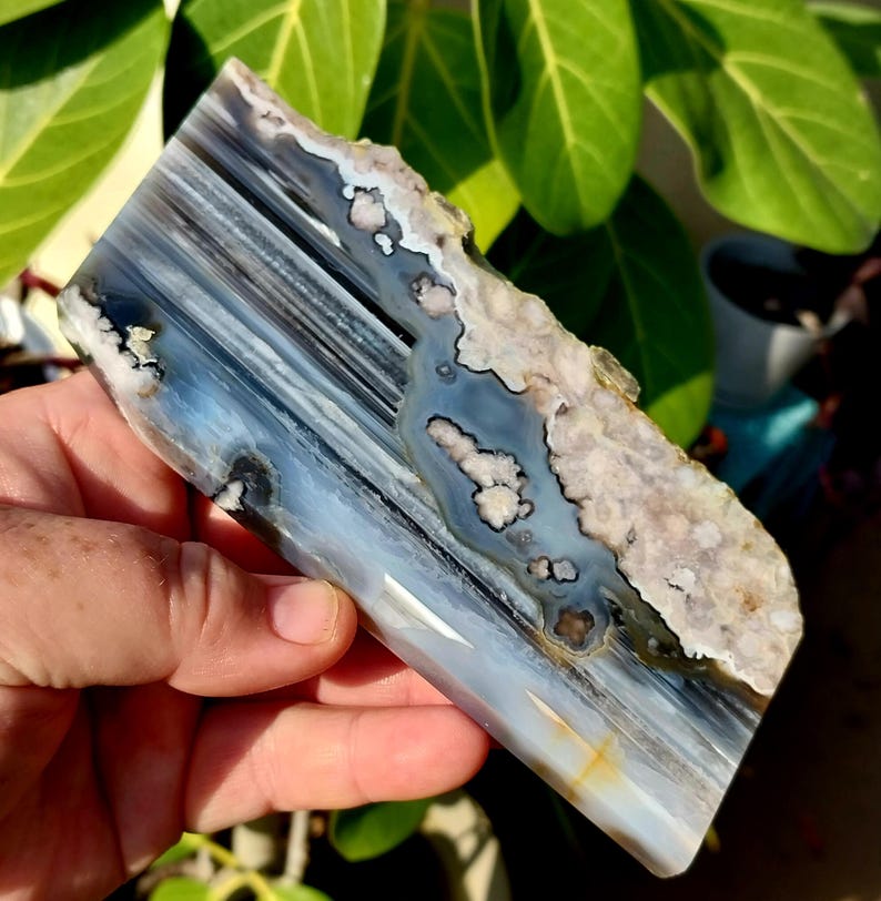 Bodacious Banded Blue Flower Agate Slab! Flower Agate Slab. Flower ...
