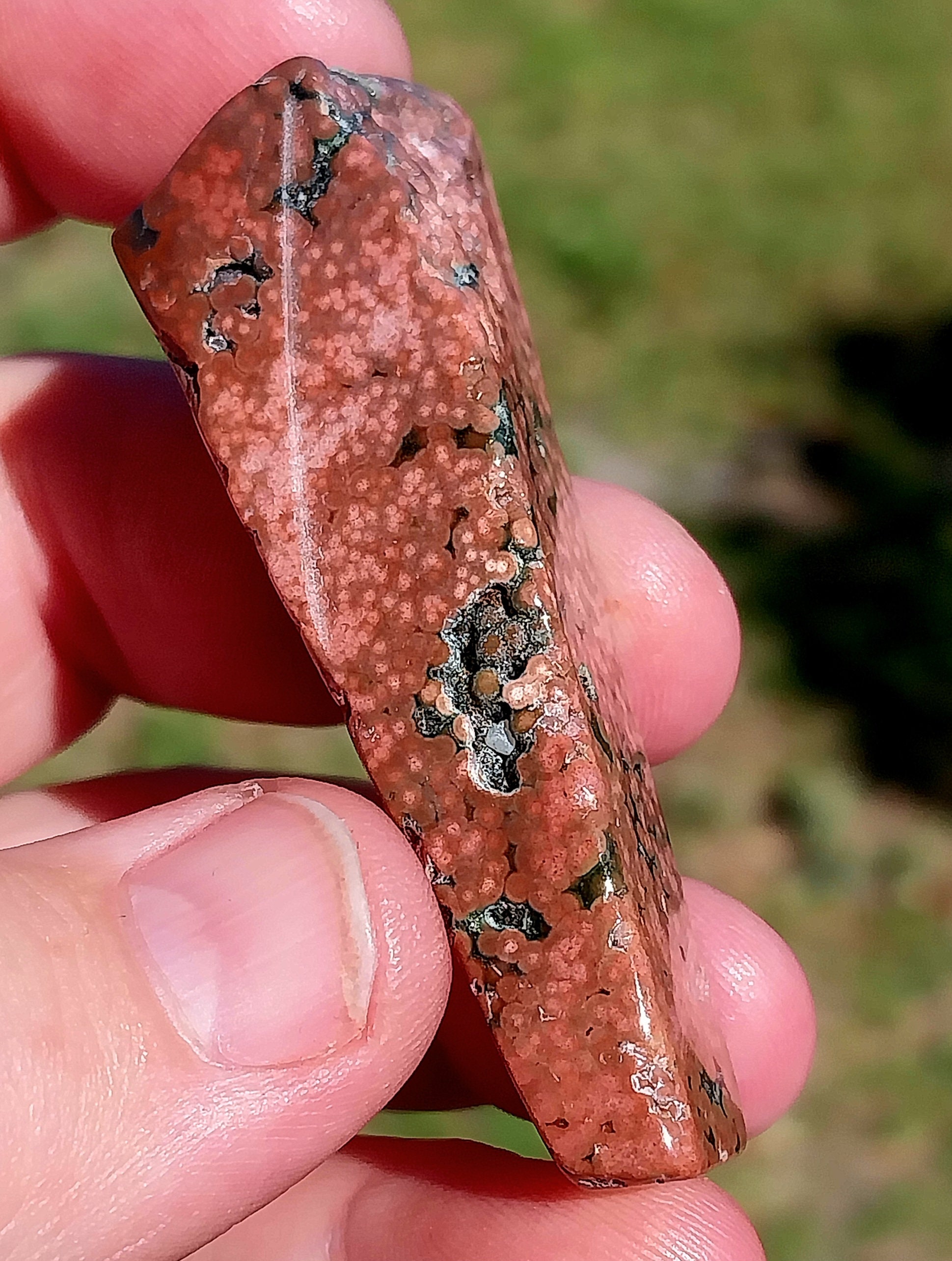 Veinless Red Orbicular Ocean Jasper Freeform! Ocean Jasper Freeform ...