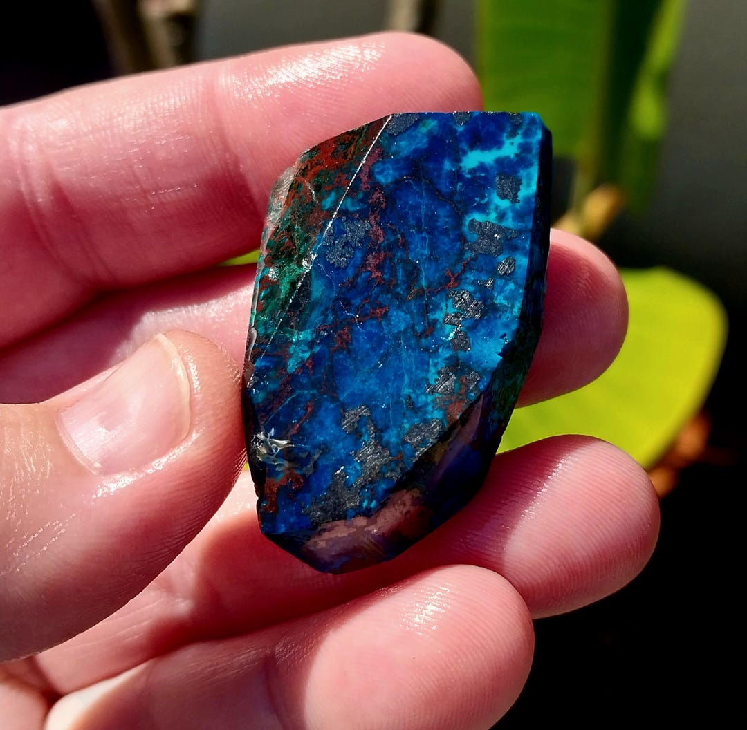Blue Phoenix Freeform. Phoenix Freeform. Crystal Freeform. Phoenix ...