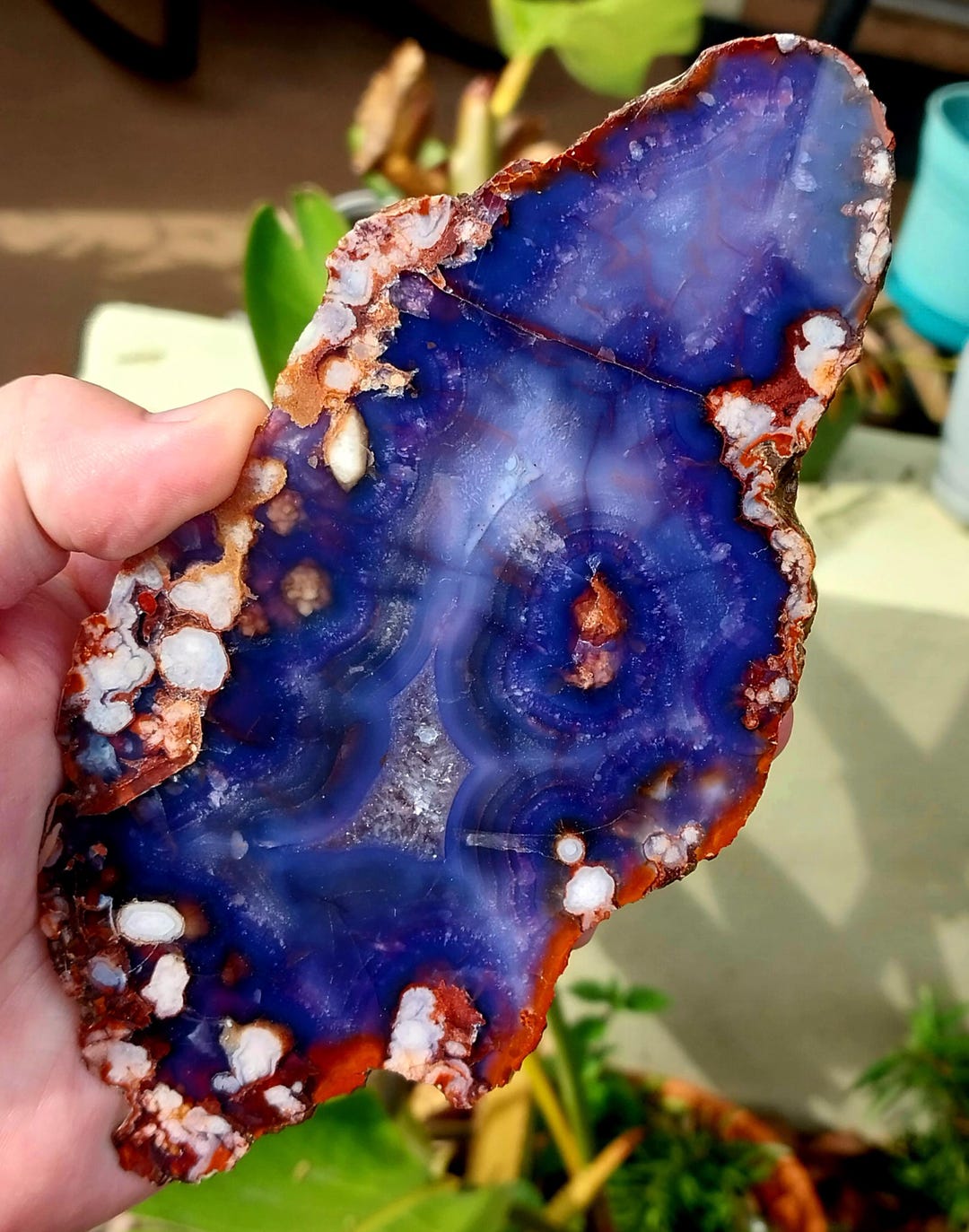 Banded Deep Blue Flower Agate Slab Flower Agate Slab. Flower Agate ...