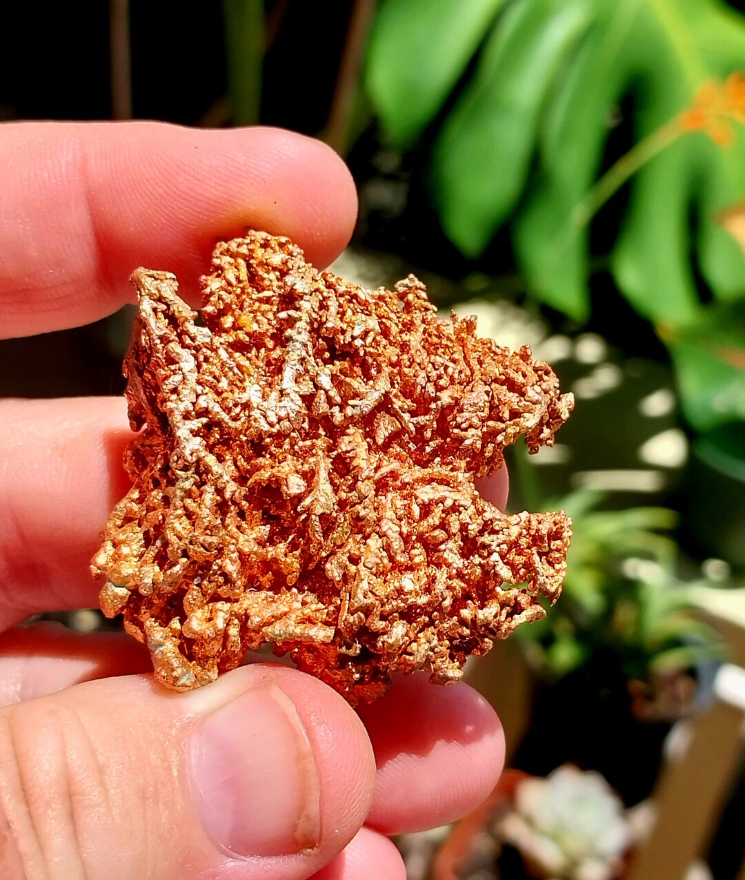 Natural Copper Specimen Copper Specimen. Copper Mineral Specimen ...