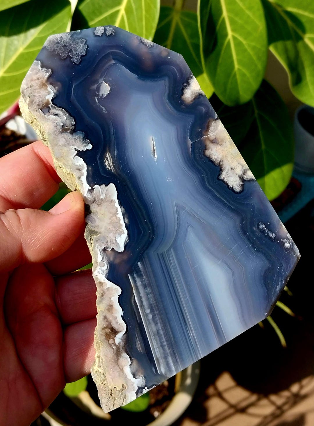 Deep Banded Blue Flower Agate Slab! Flower Agate Slab. Flower Agate ...