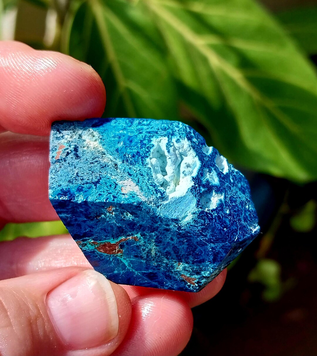 Brilliantly Vibrant Phoenix Freeform. Phoenix Freeform. Crystal ...