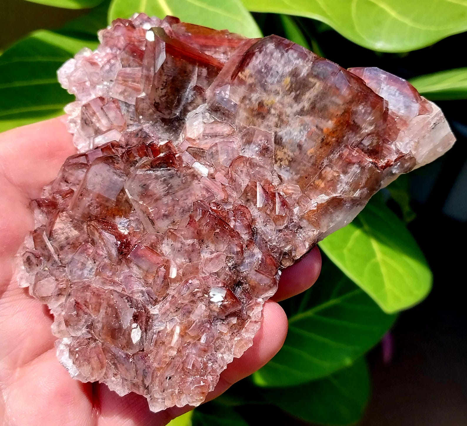 Large Rare Cubic Chocolate Calcite Specimen! Deep Red Hematite Calcite ...