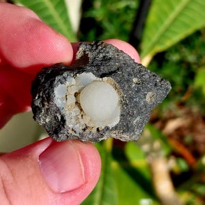 Rare Botroiydal Globular White Calcite in Basalt Matrix! Rare Minerals ...