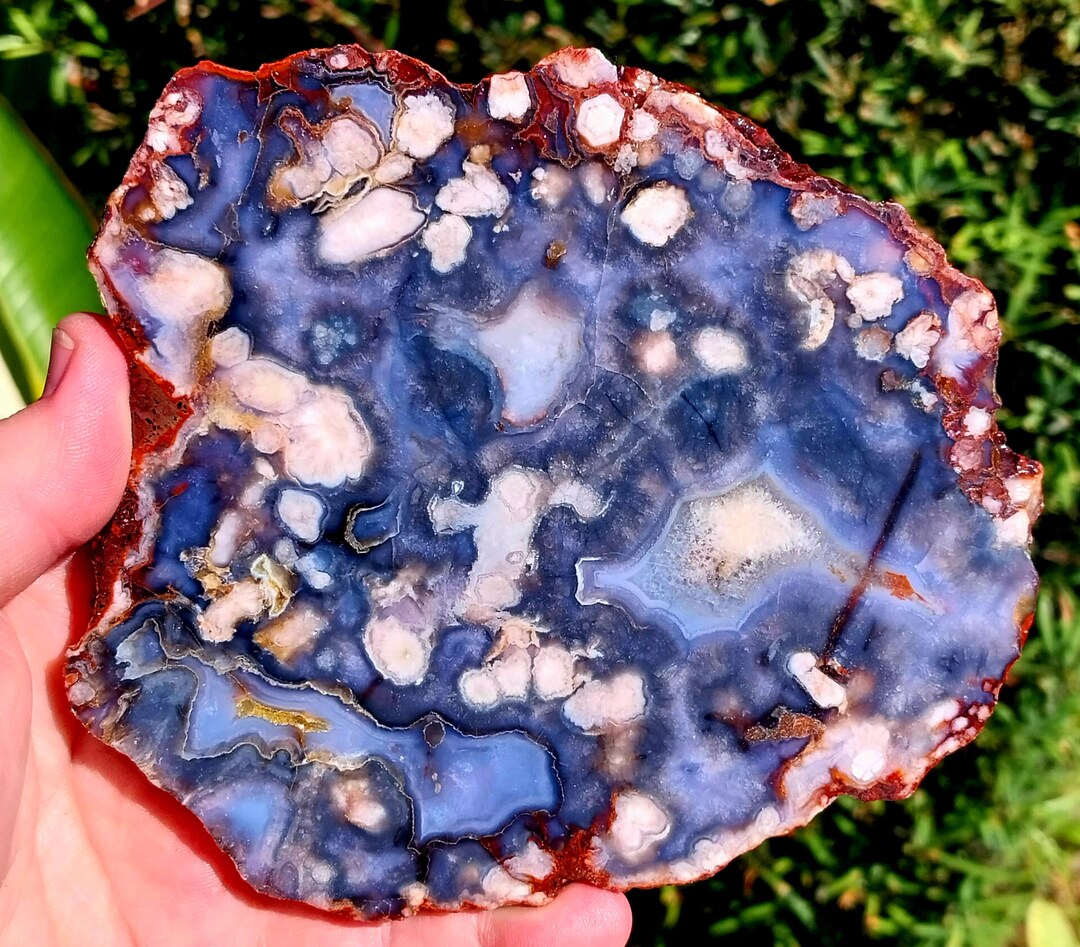 Gorgeous TOP QUALITY Blue Flower Agate Slab Flower Agate Slab. Flower ...