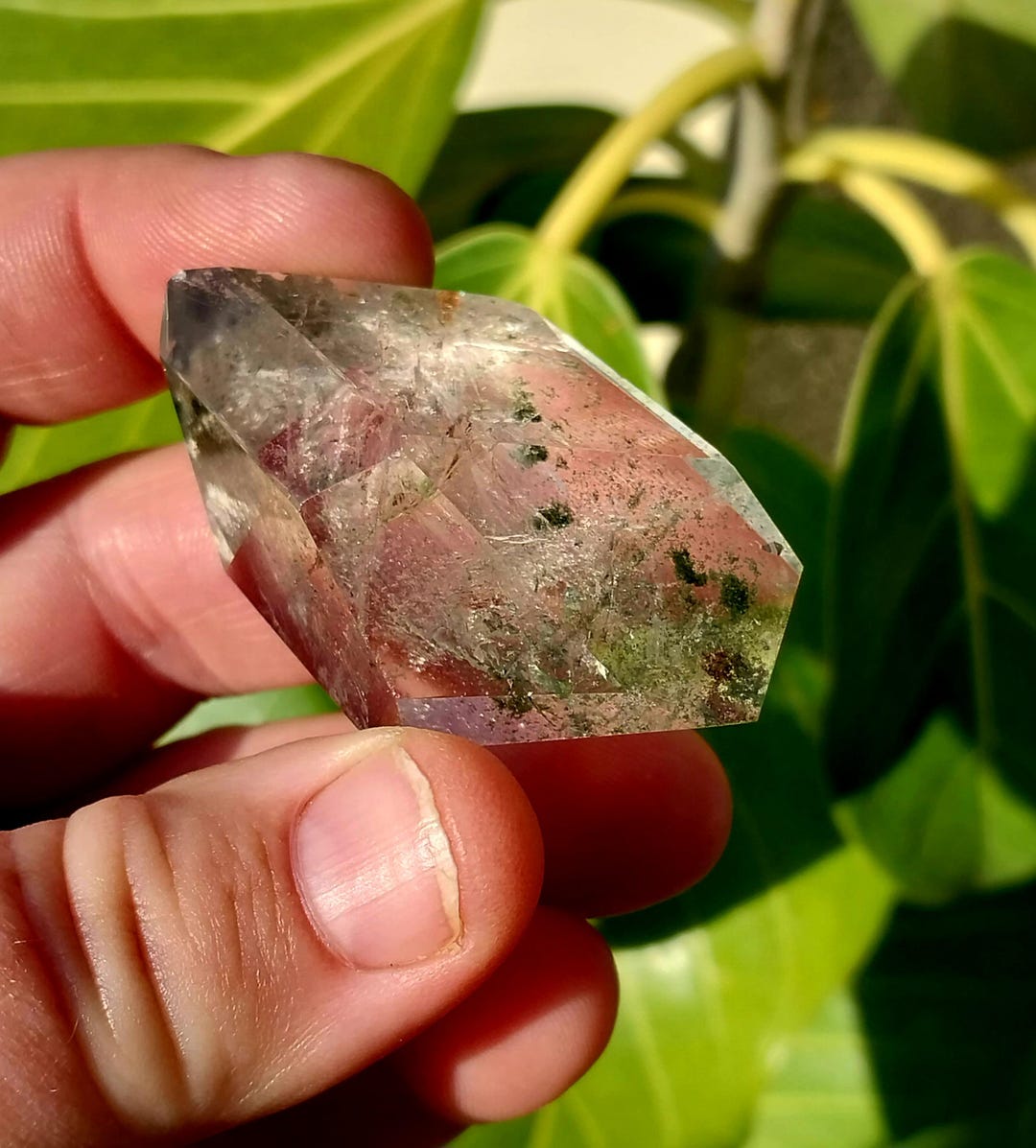 Amazing Green Chlorite Lodolite Garden Quartz Freeform. Garden Lodolite ...