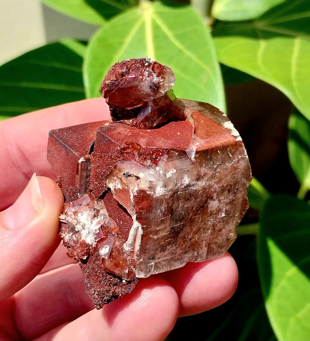 Fabulous Rare Cubic Chocolate Calcite Specimen Deep Red Hematite ...