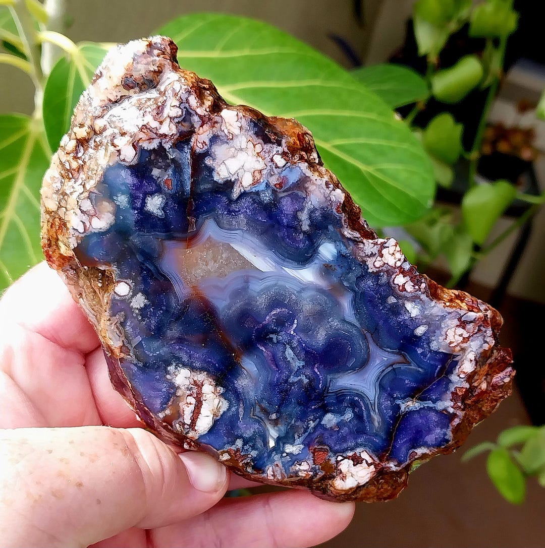 Dazzling Banded Blue Flower Agate Slab! Flower Agate Slab. Flower Agate ...
