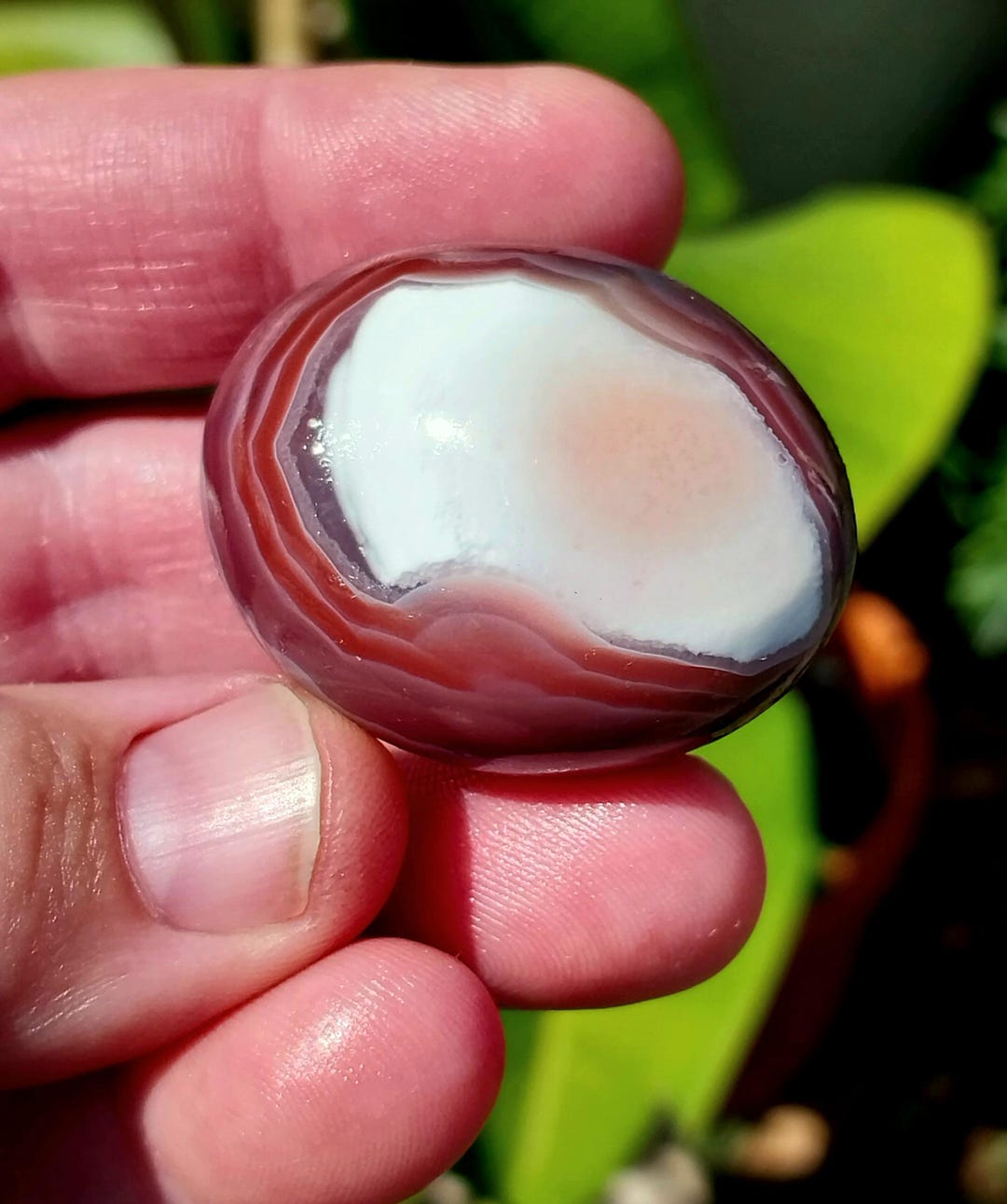 Beautiful and Rare Red Sashe River Agate Palmstone. Banded Agate ...