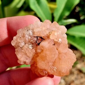 Rare Form UV Reactive Pink Rose Skeletal Calcite Flower From Madagascar ...