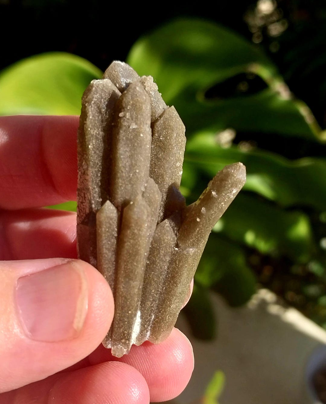 Extremely Rare Green Hedenbergite Prasem Quartz. Hedenbergite Quartz Cluster. Green Quartz ...