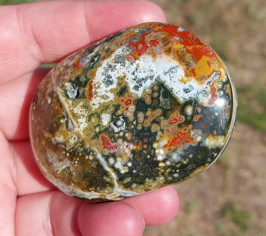 RARE Orbicular 7th Vein Ocean Jasper Palmstone. 7th Vein Jasper. Rare ...
