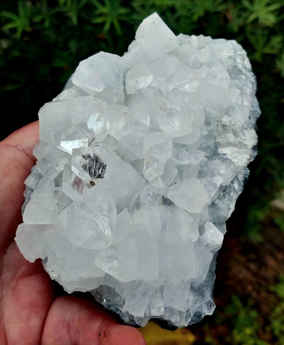 Large Diamond Apophyllite Specimen! White Apophyllite. Clear ...