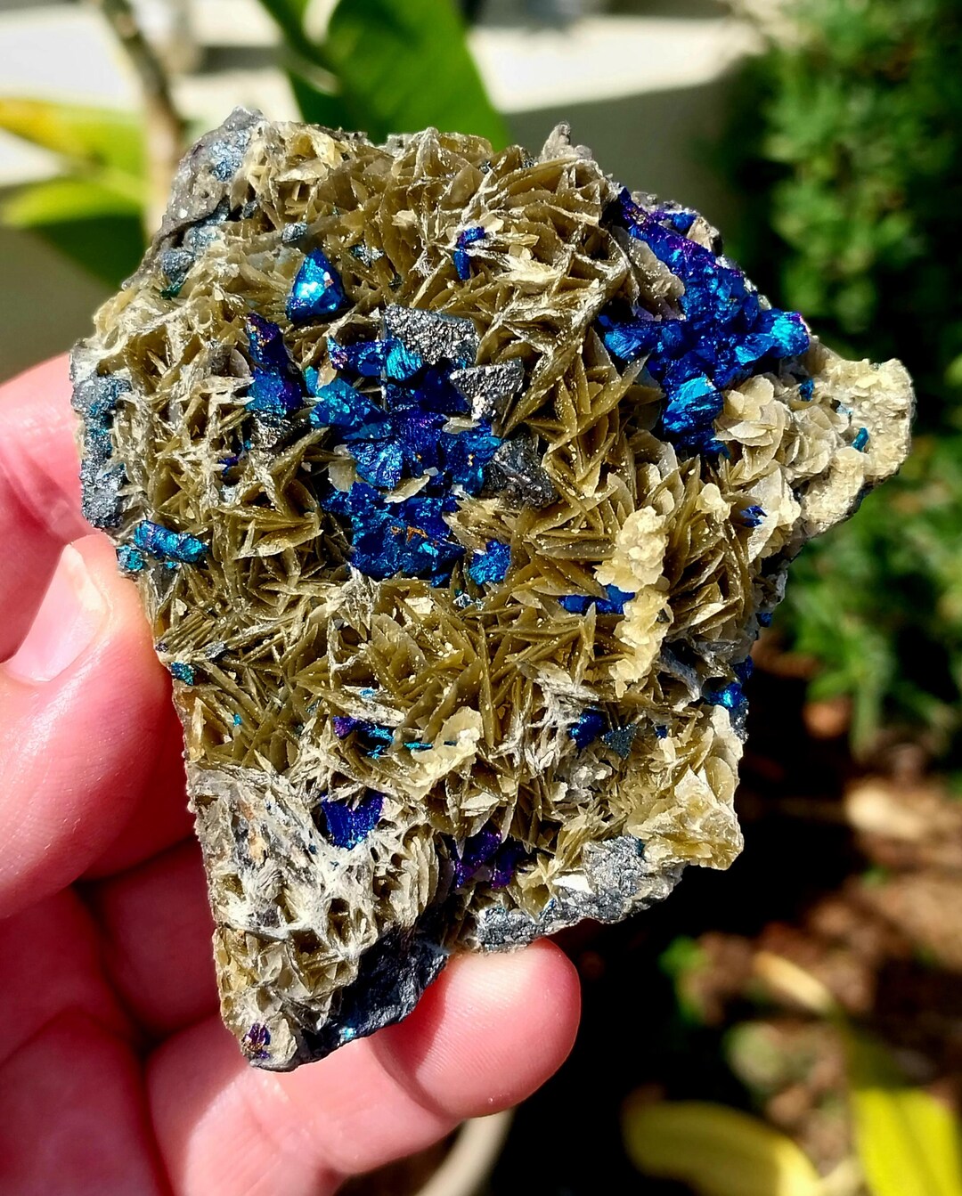 Blue Chalcopyrite on Siderite Specimen! Rainbow Pyrite. Green Siderite ...