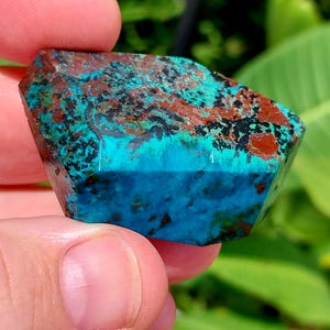 Pretty and Vibrant Phoenix Freeform. Phoenix Freeform. Crystal Freeform ...