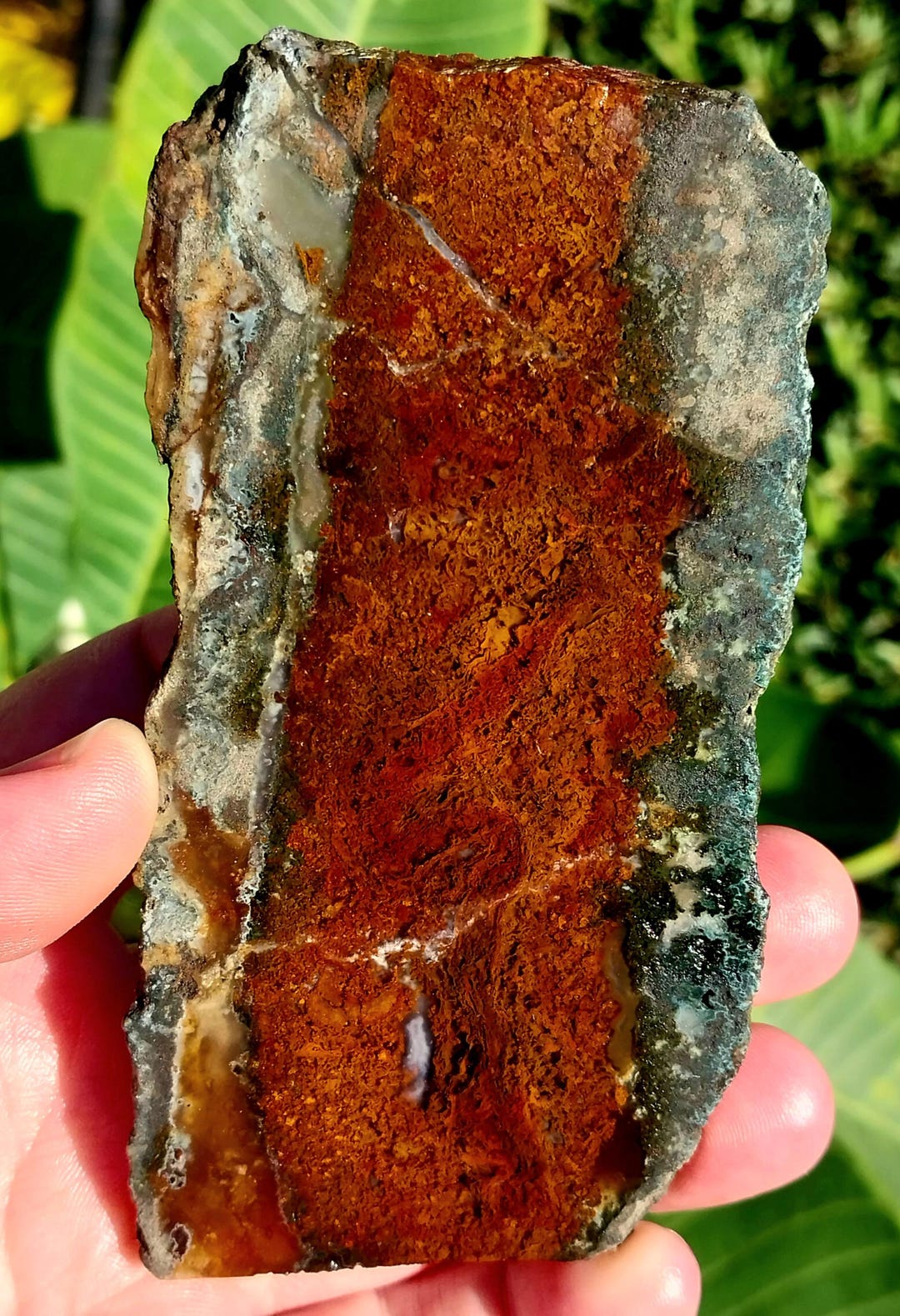 Maury Mountain Oregon Agate Slab! Oregon Agate. Oregon Agate Slab. High ...