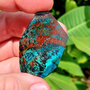 Pretty and Vibrant Phoenix Freeform. Phoenix Freeform. Crystal Freeform ...