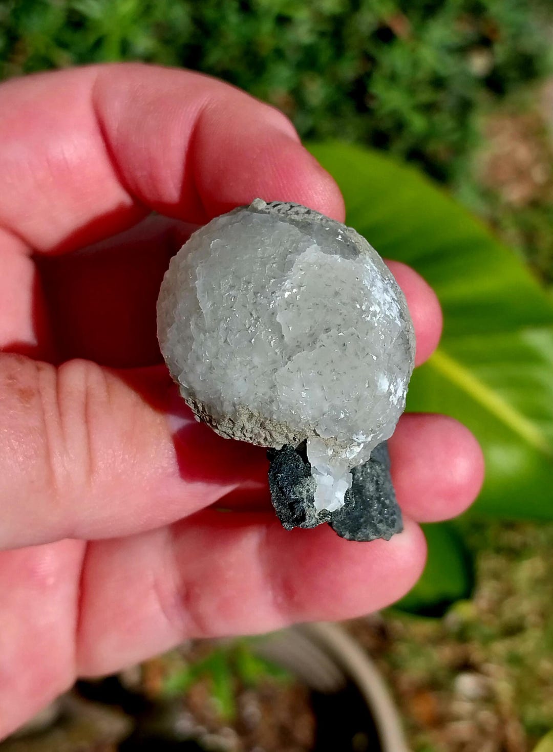 Large Botroiydal Globular White Calcite on Basalt Matrix! Rare Minerals ...