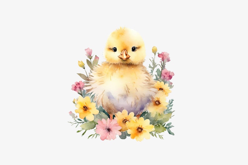5 Cute Chick Watercolor Clipart Set/ Easter Floral Chick Png Files/cute ...
