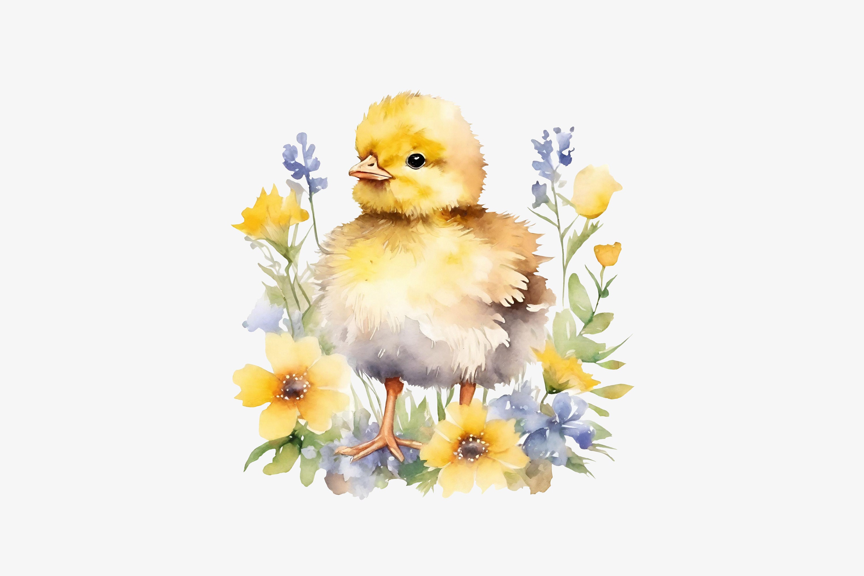 5 Cute Chick Watercolor Clipart Set/ Easter Floral Chick Png Files/cute ...