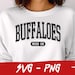 Buffaloes Football Bundle, 9x SVG and 18x PNG File, School Team Svg ...