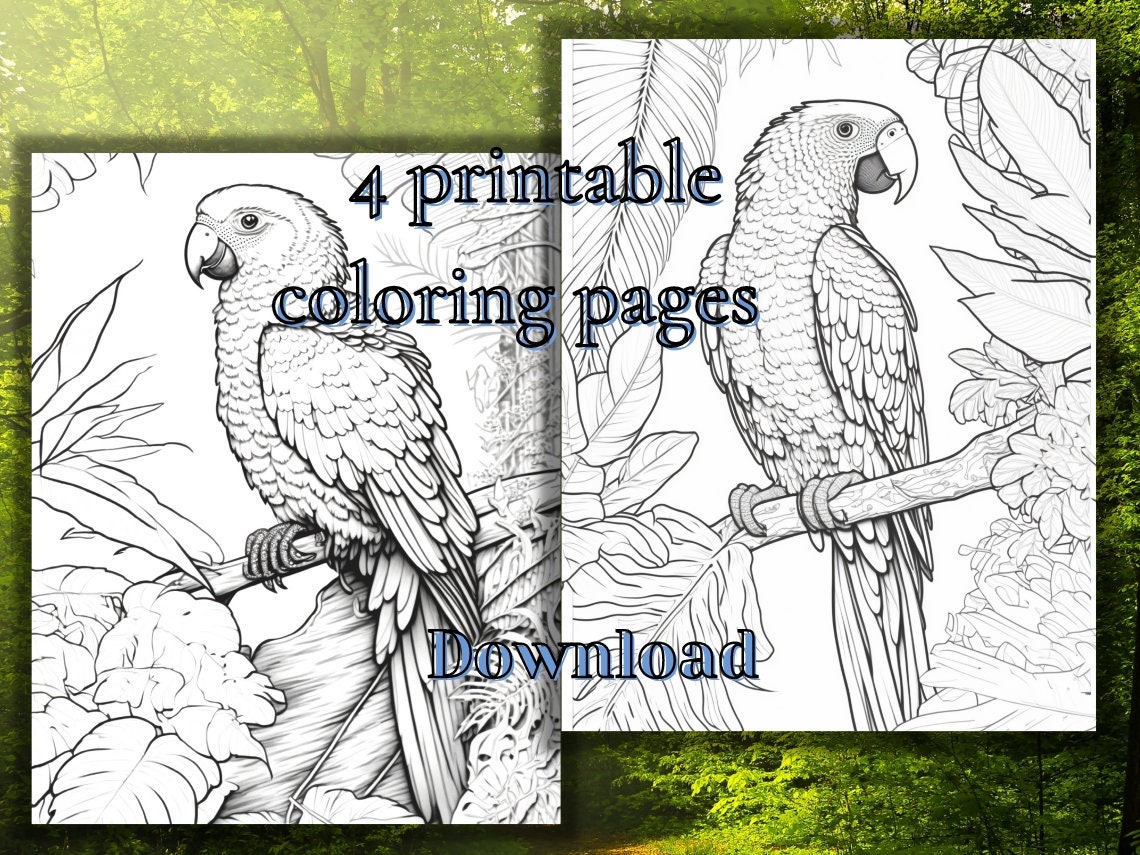 Jungle Parrot Set of 4 Coloring Pages ,AI Generated ,printable Coloring ...