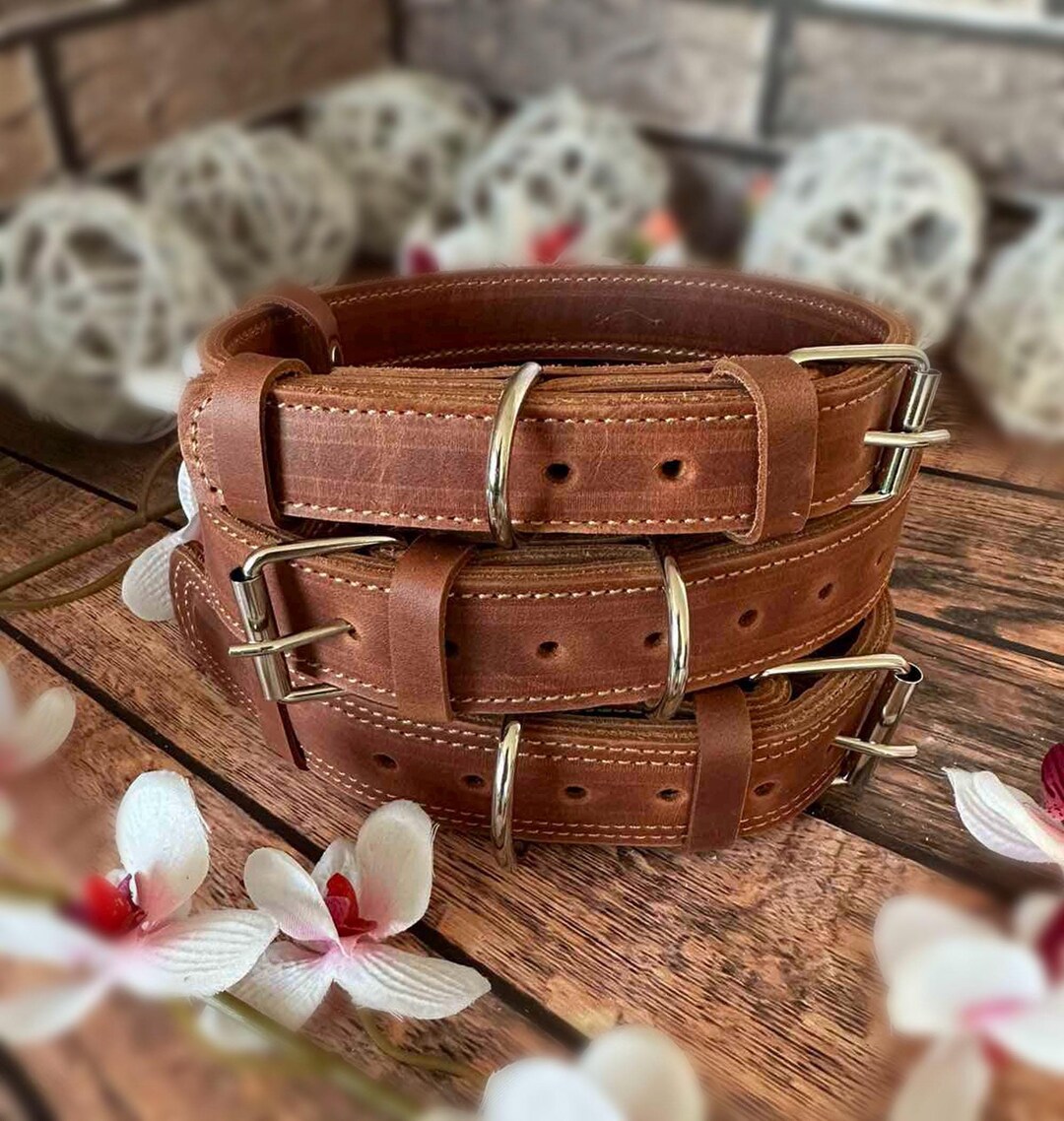 Boy and Girl Leather Thin Dog Collar With Personalized for Small and ...