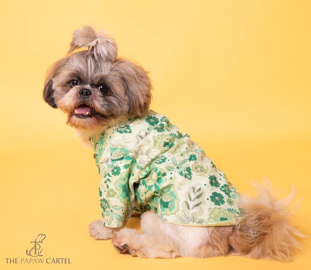 Floral Green Sherwani Indian Wedding Dog Outfit for Dogs - Etsy