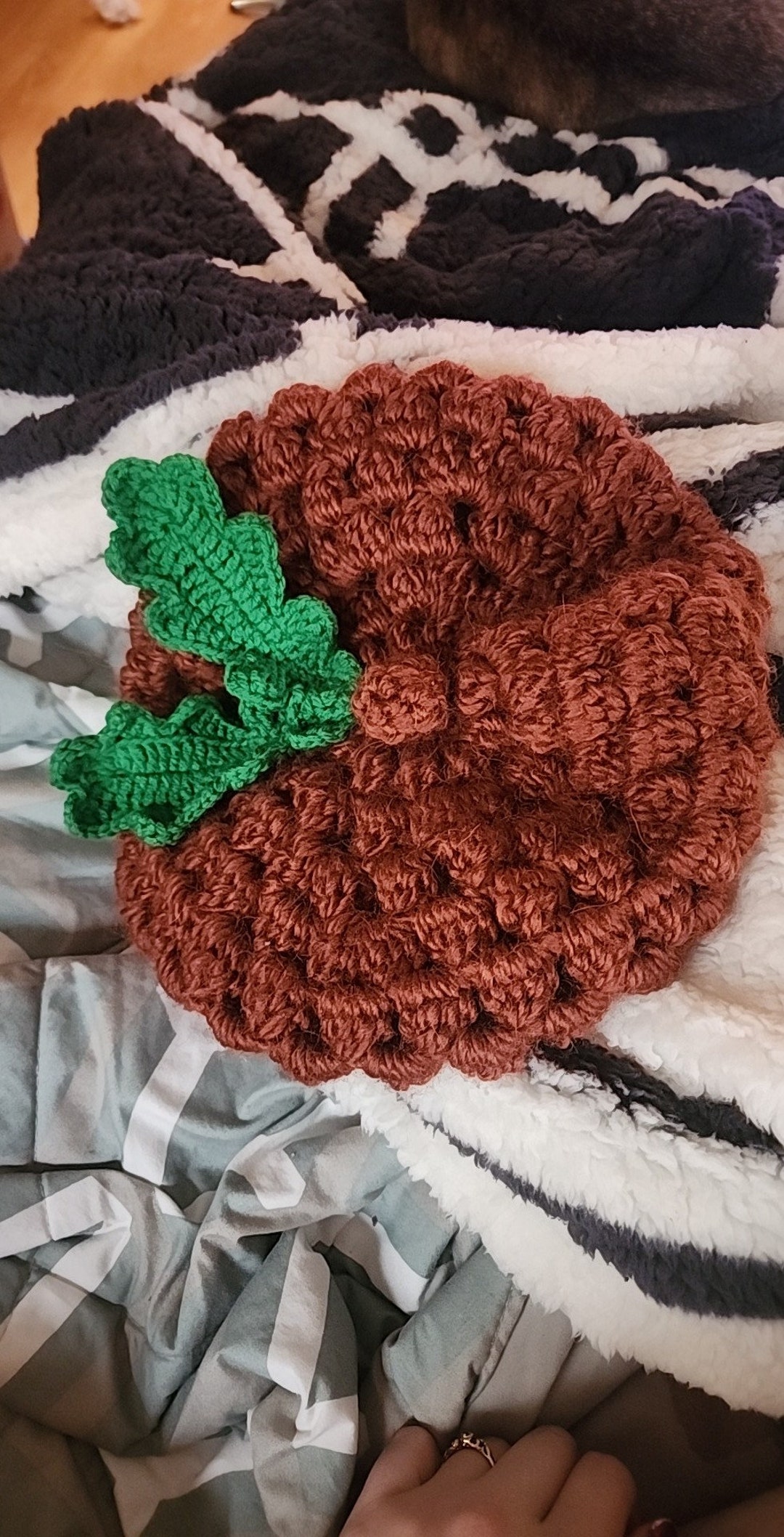 Crochet Acorn Hat - Etsy