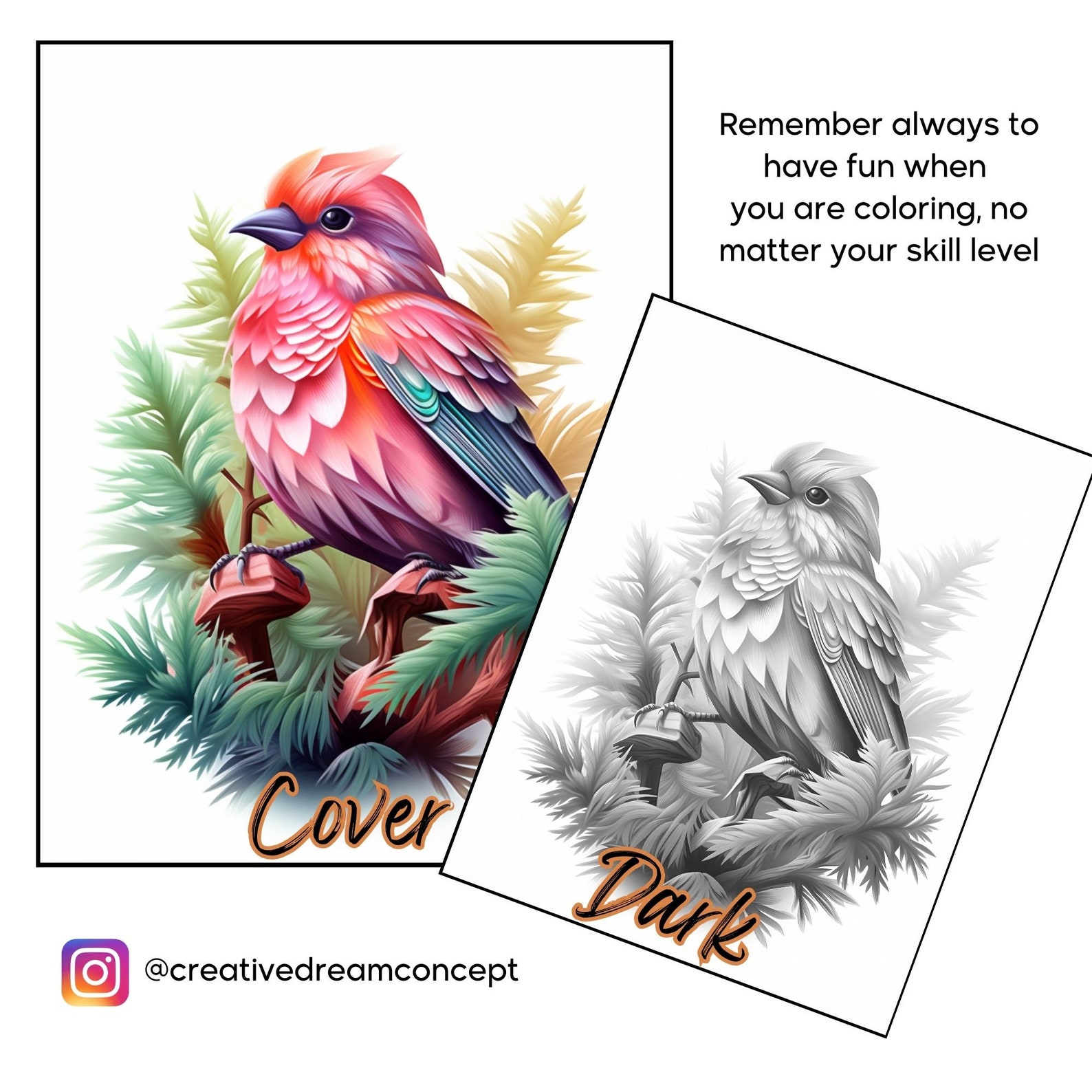 Colorful Birds Coloring Page for Adults Nature Landscape Coloring Book ...