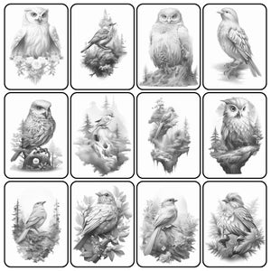 Colorful Birds Coloring Page for Adults Nature Landscape Coloring Book ...