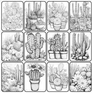 Cactus and Succulents Coloring Page for Adults Cute Coloring Book for ...