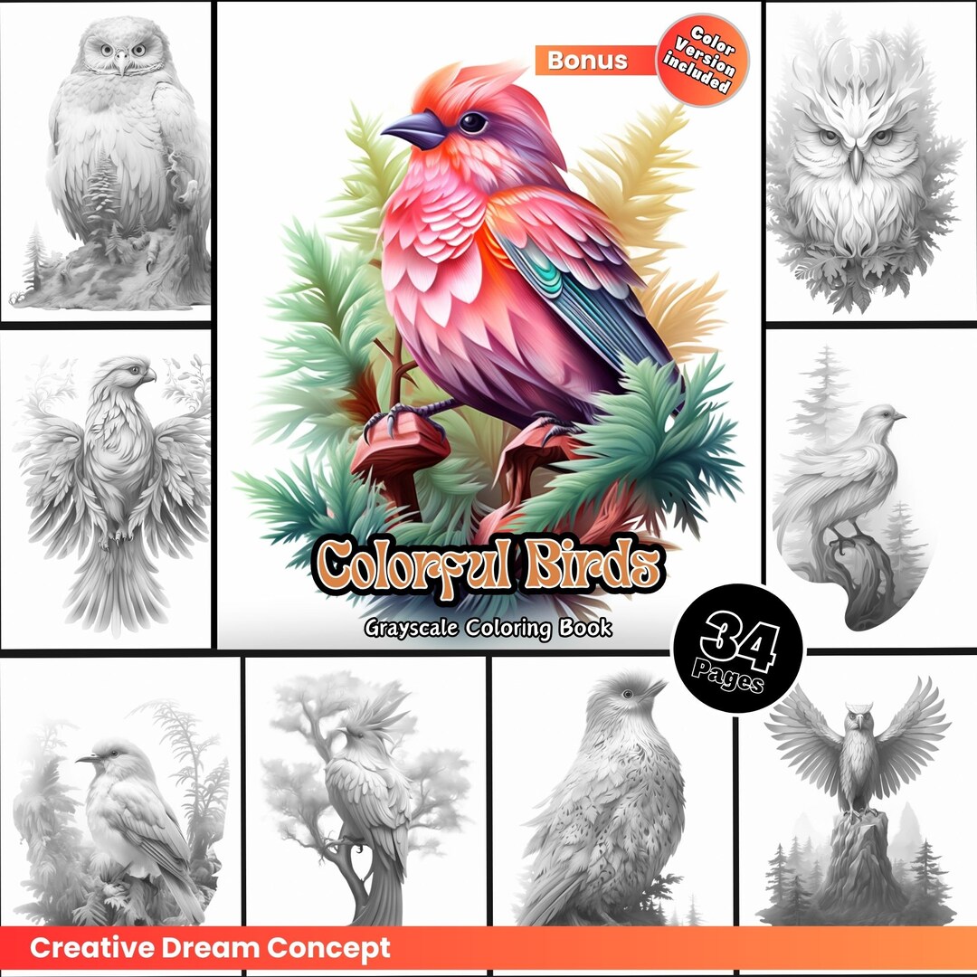 Colorful Birds Coloring Page for Adults Nature Landscape Coloring Book ...