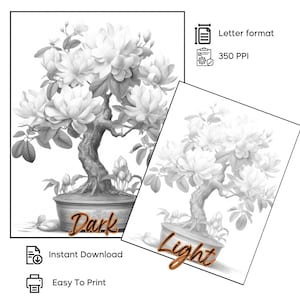 Magical Trees Collection Coloring Page for Adults Amazing Nature ...