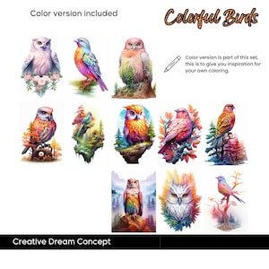 Colorful Birds Coloring Page for Adults Nature Landscape Coloring Book ...