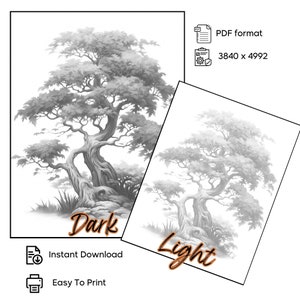 Magical Trees Collection Coloring Page for Adults Amazing Nature ...