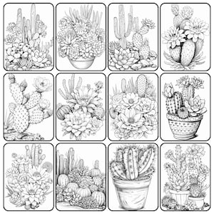 Cactus and Succulents Coloring Page for Adults Cute Coloring Book for ...