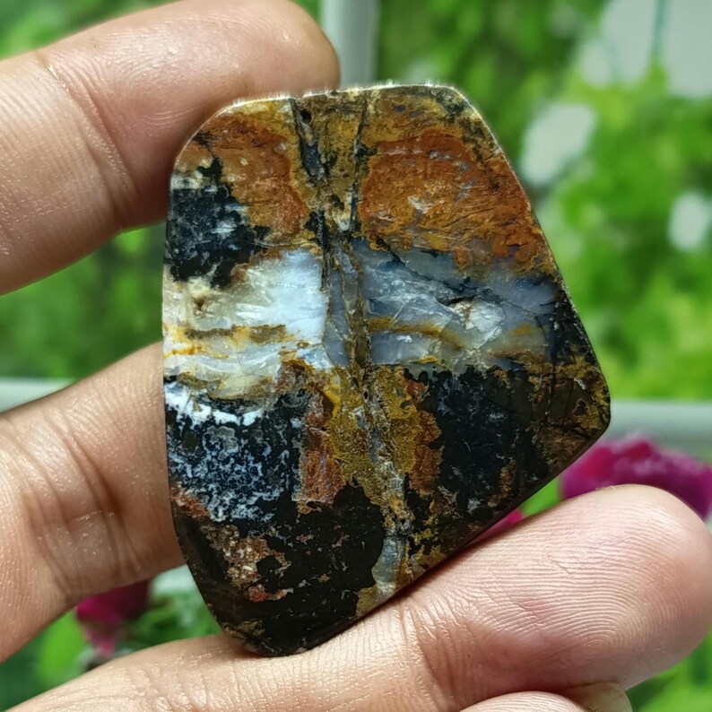 Opalized Wood Multicolor Dendritic Slab - Etsy