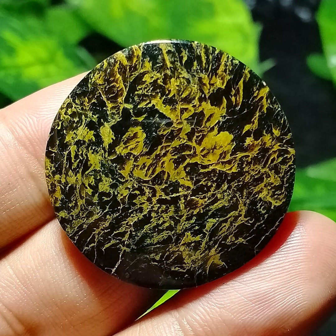 Opalized Petrified Wood With Beautiful and Rare Snake Scale Motif - Etsy