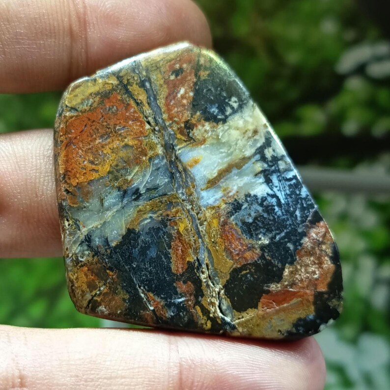 Opalized Wood Multicolor Dendritic Slab - Etsy