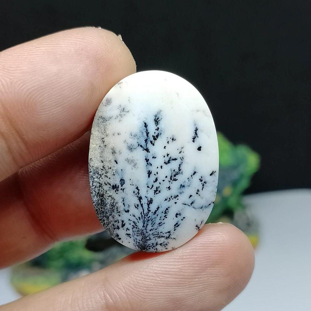 Opalized Wood Dendritic Tree Pattern is Rare and Beautiful - Etsy