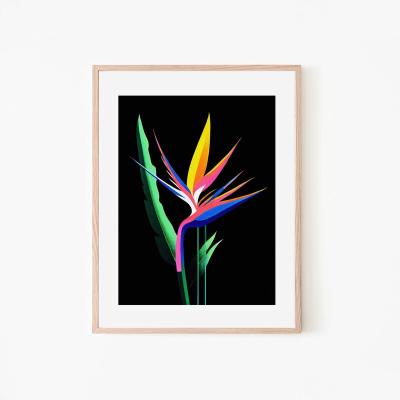 Strelitzia - Etsy
