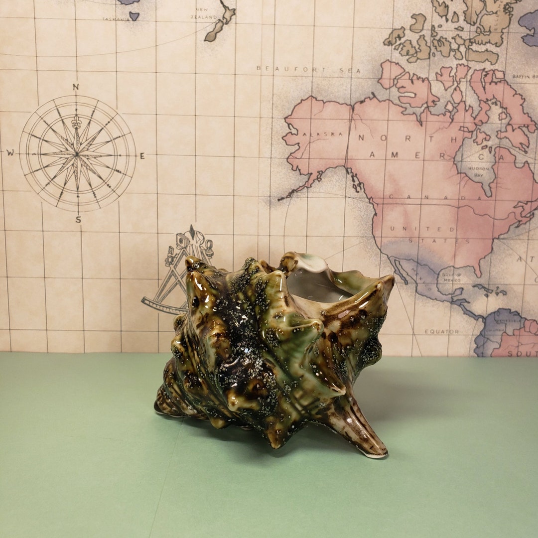 Vintage Conch Shell Art Pottery Ashtray Majolica Glaze 1950s 1960s - Etsy