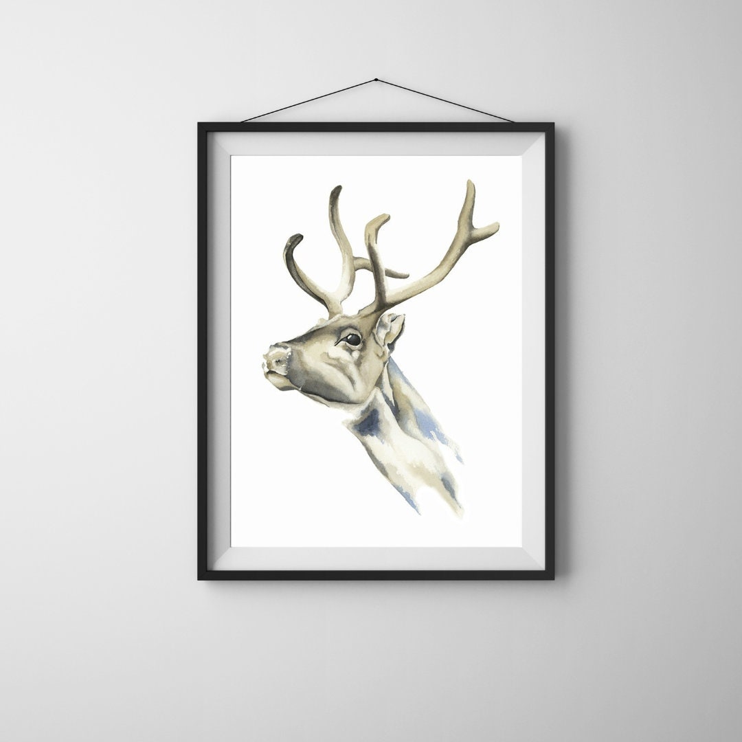 "peary's Caribou" Print, Illustration, Drawing, Watercolor, Print, Art ...