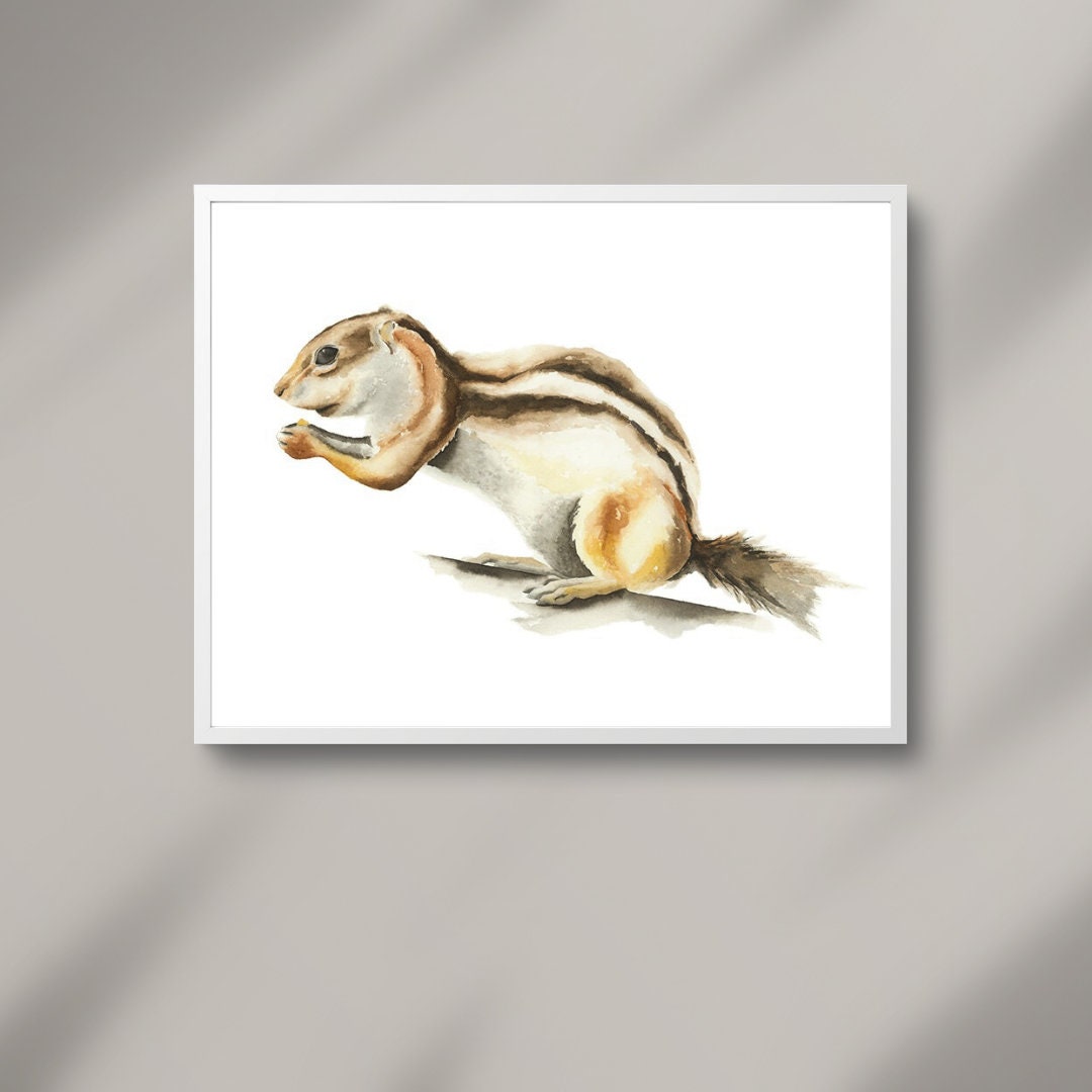 Print "berber Squirrel", Illustration, Drawing, Watercolor, Print, Art ...
