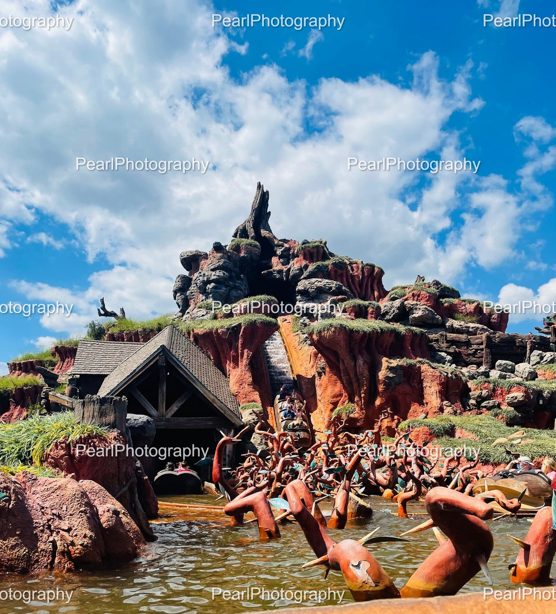 One Last Splash Vintage Splash Mountain Ride Photo Prints and Canvas ...