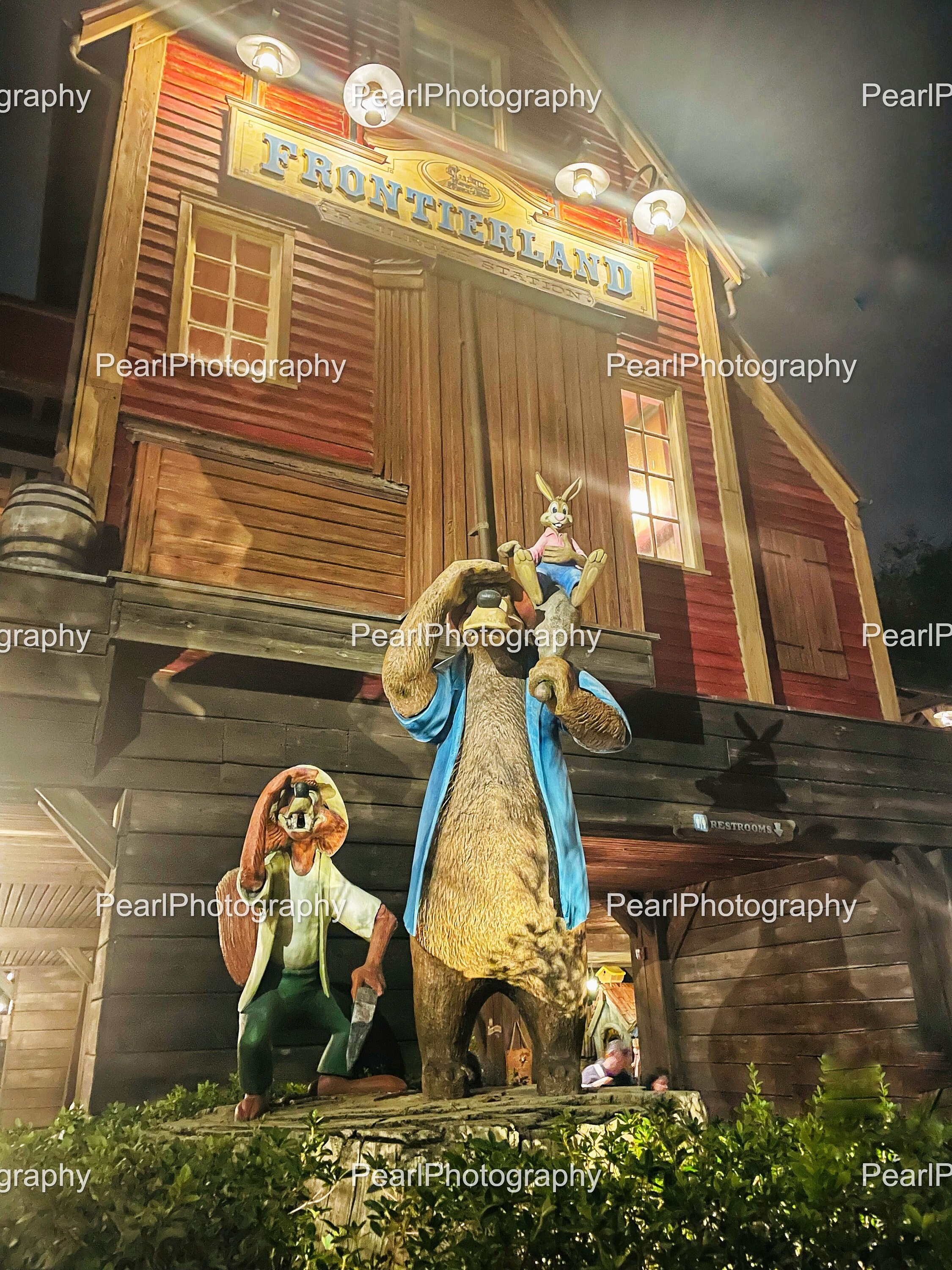 Brer Fox and Brer Bear Vintage Splash Mountain Ride Photo Prints and ...