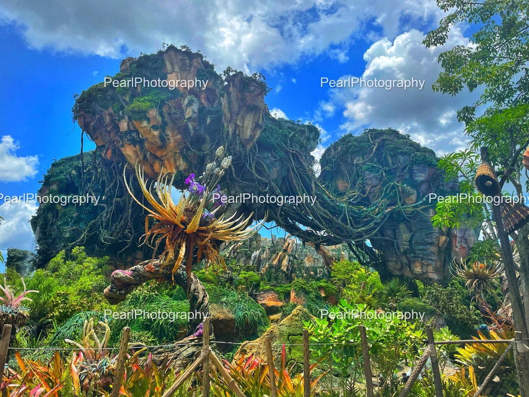The Valley of Mo’ara at Pandora in the World of Avatar - Photo Prints ...
